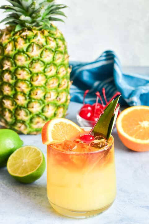 Mai Tai Cocktail Lemon Tree Dwelling
