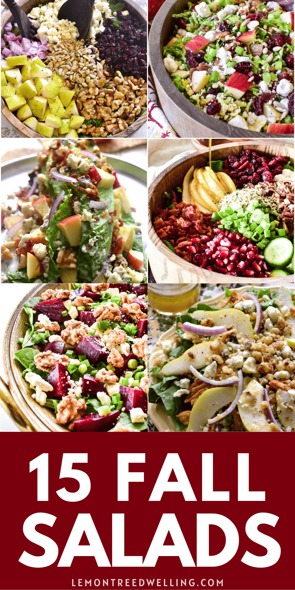 The Best Fall Salads – Lemon Tree Dwelling