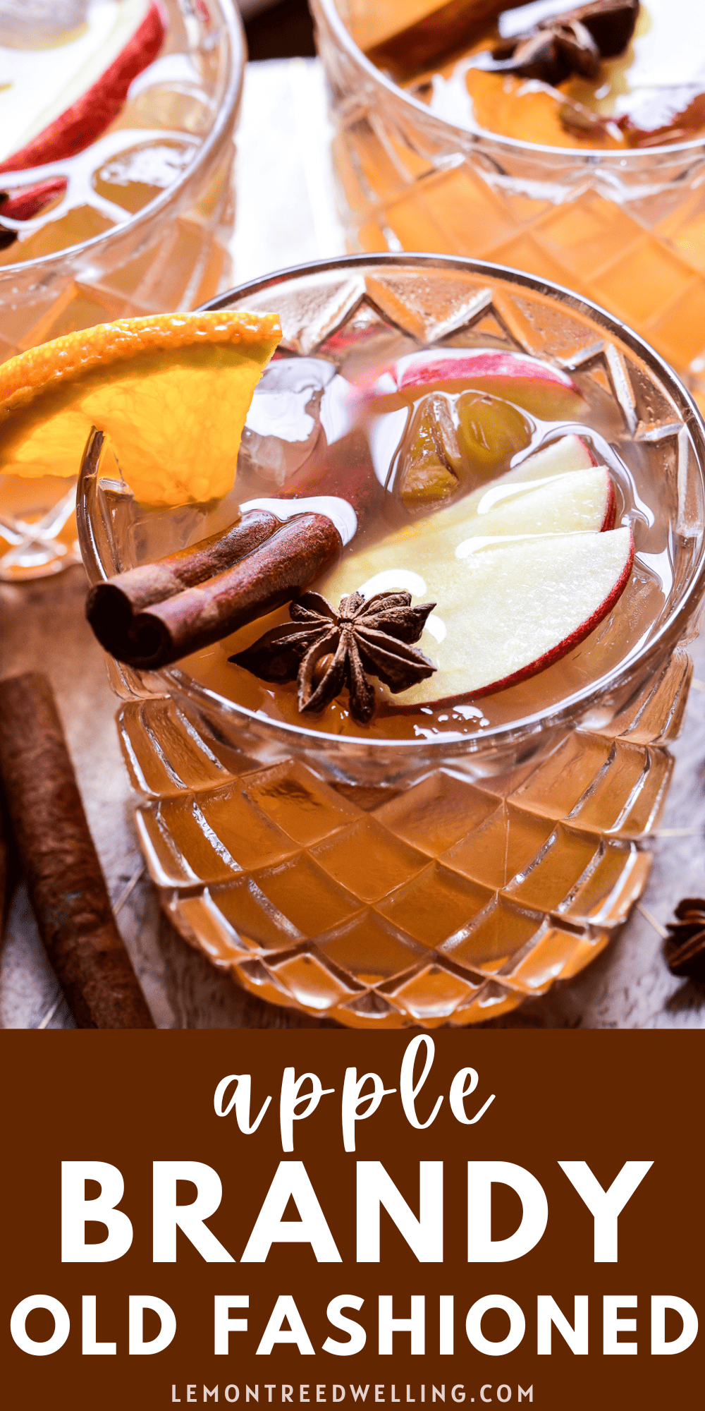 Apple Brandy Old Fashioned – Lemon Tree Dwelling