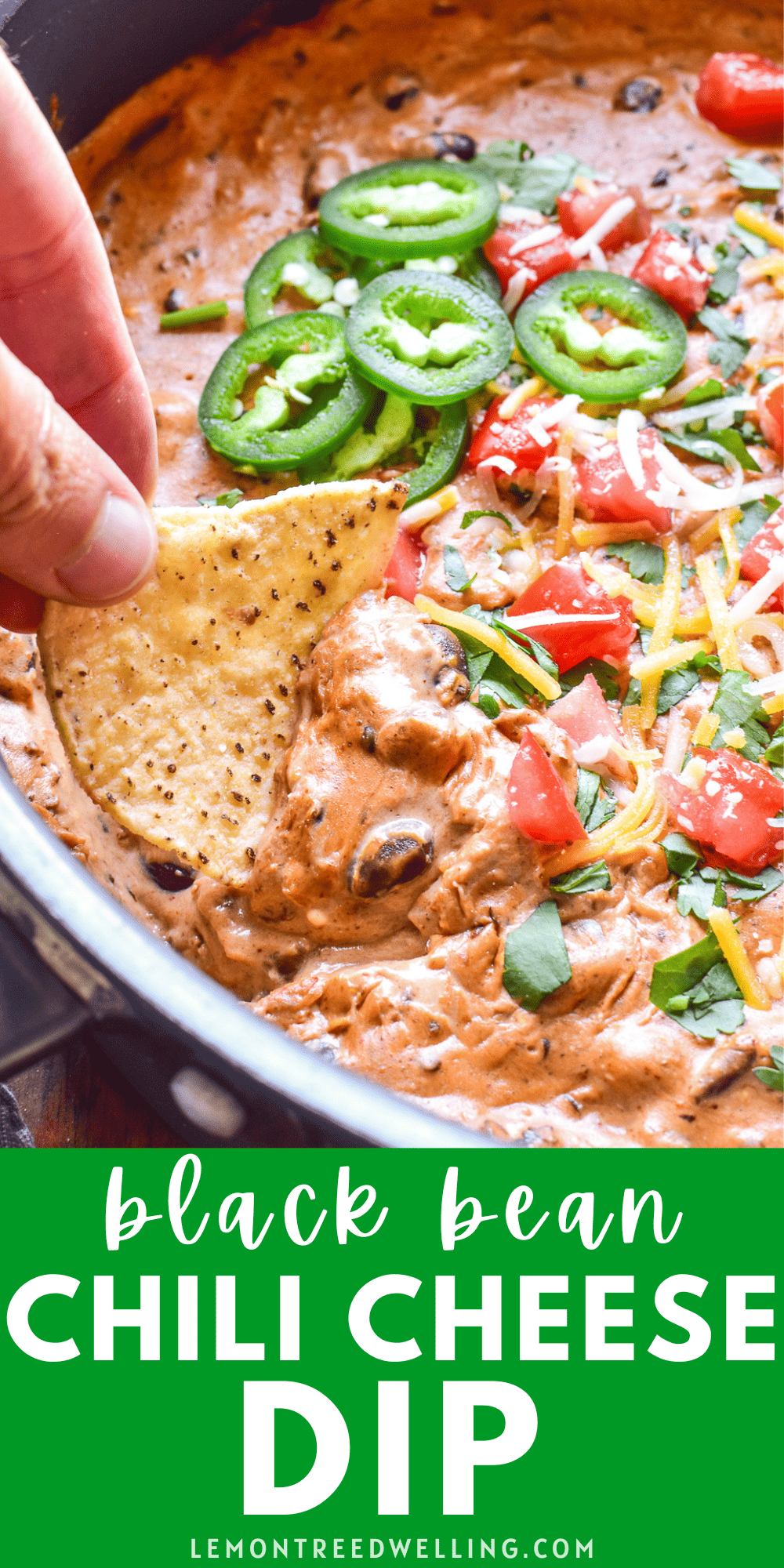 Black Bean Chili Cheese Dip – Lemon Tree Dwelling