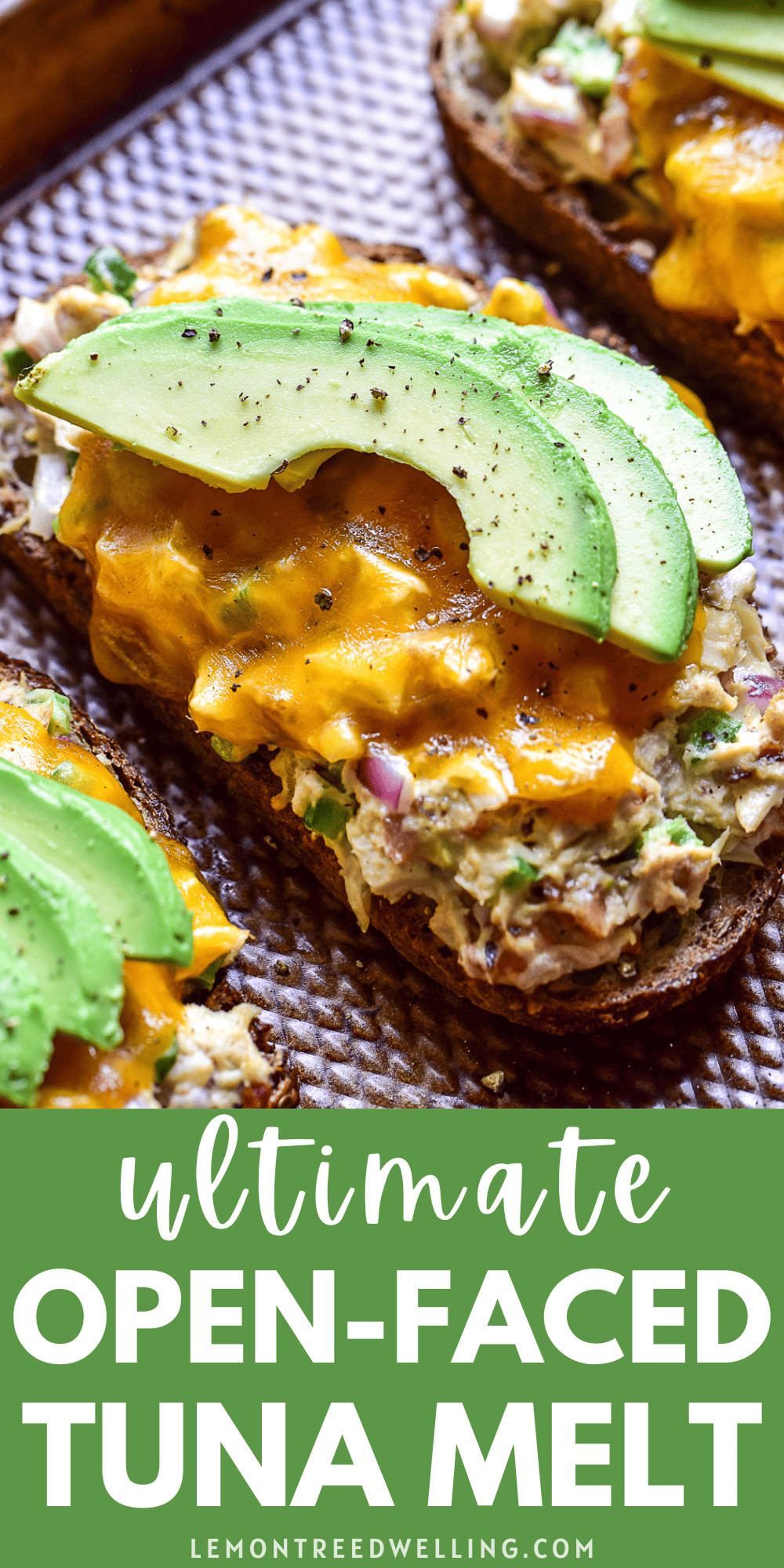 Ultimate Open-Faced Tuna Melt – Lemon Tree Dwelling