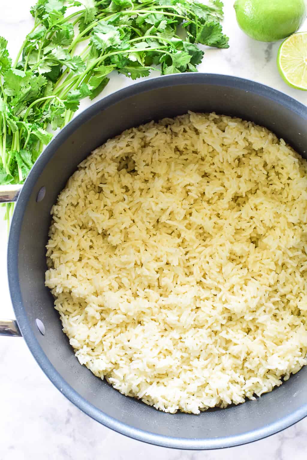 Chipotle Cilantro Lime Rice – Lemon Tree Dwelling