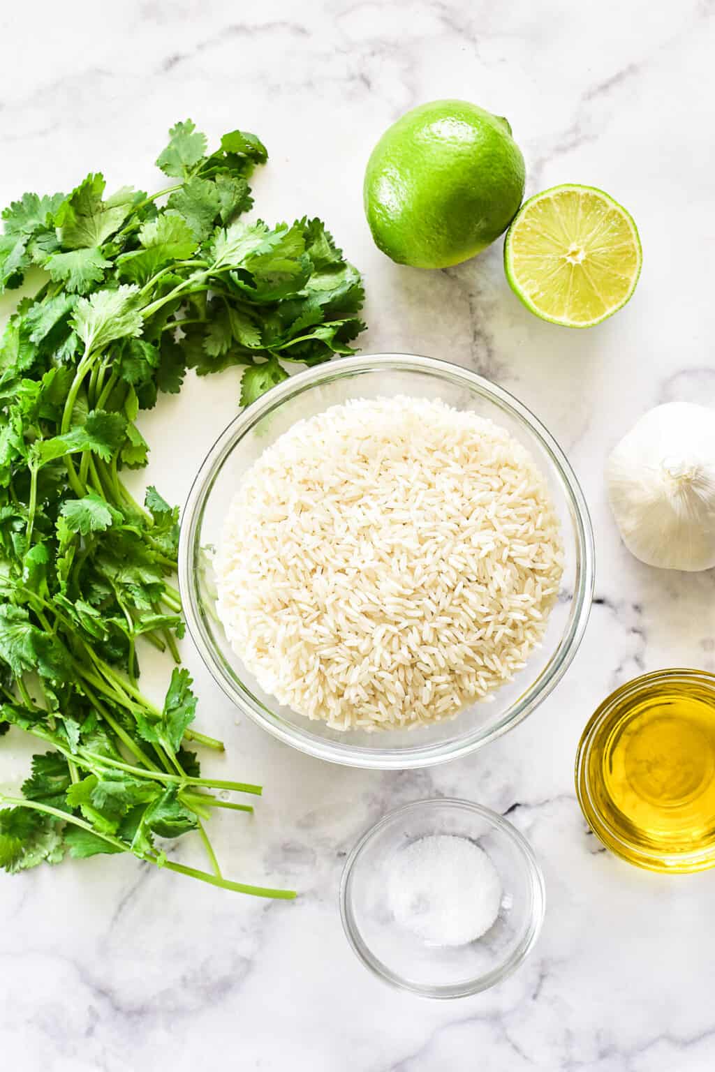 Chipotle Cilantro Lime Rice – Lemon Tree Dwelling