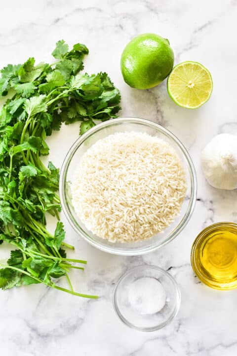 Chipotle Cilantro Lime Rice – Lemon Tree Dwelling