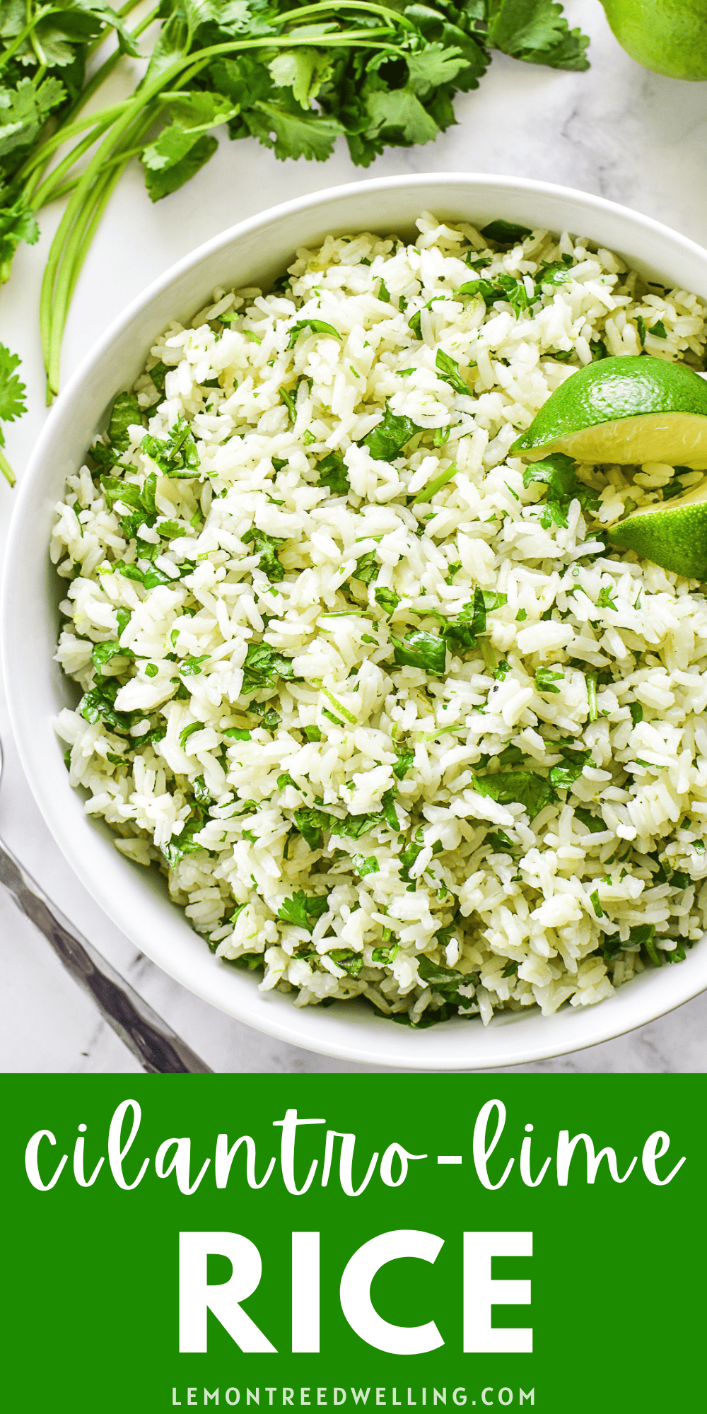 Chipotle Cilantro Lime Rice – Lemon Tree Dwelling