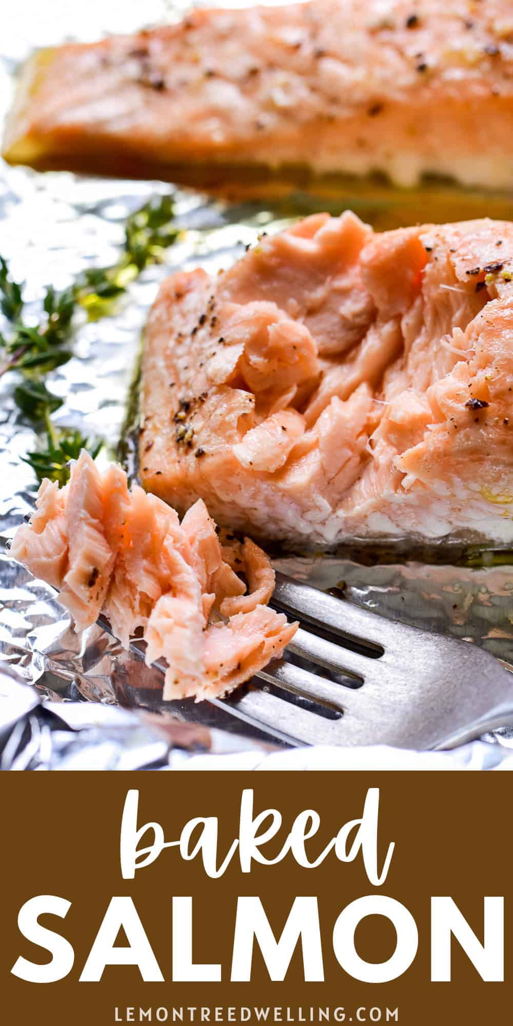 Baked Salmon – Lemon Tree Dwelling