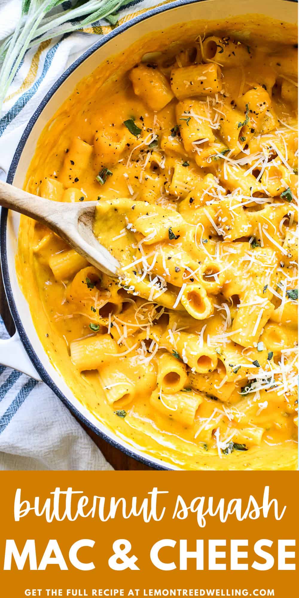Butternut Squash Mac & Cheese – Lemon Tree Dwelling