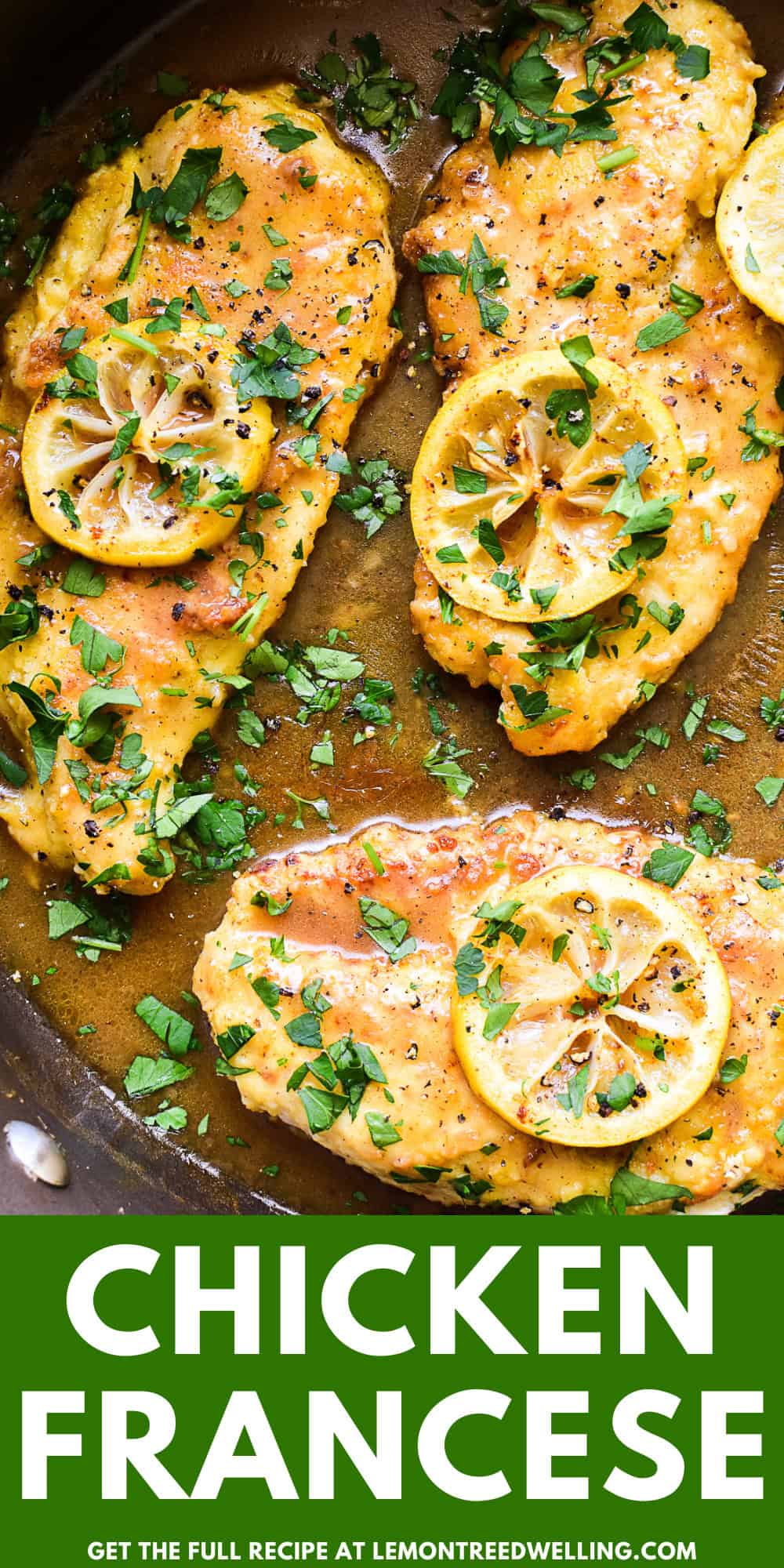 Easy Chicken Francese – Lemon Tree Dwelling