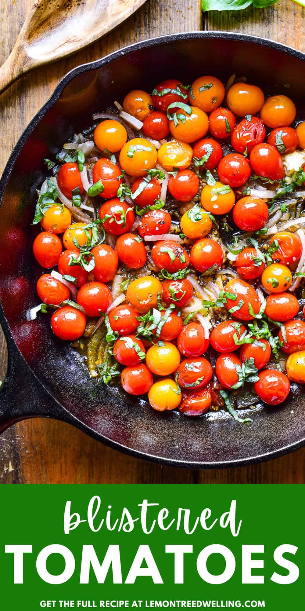 Blistered Tomatoes – Lemon Tree Dwelling