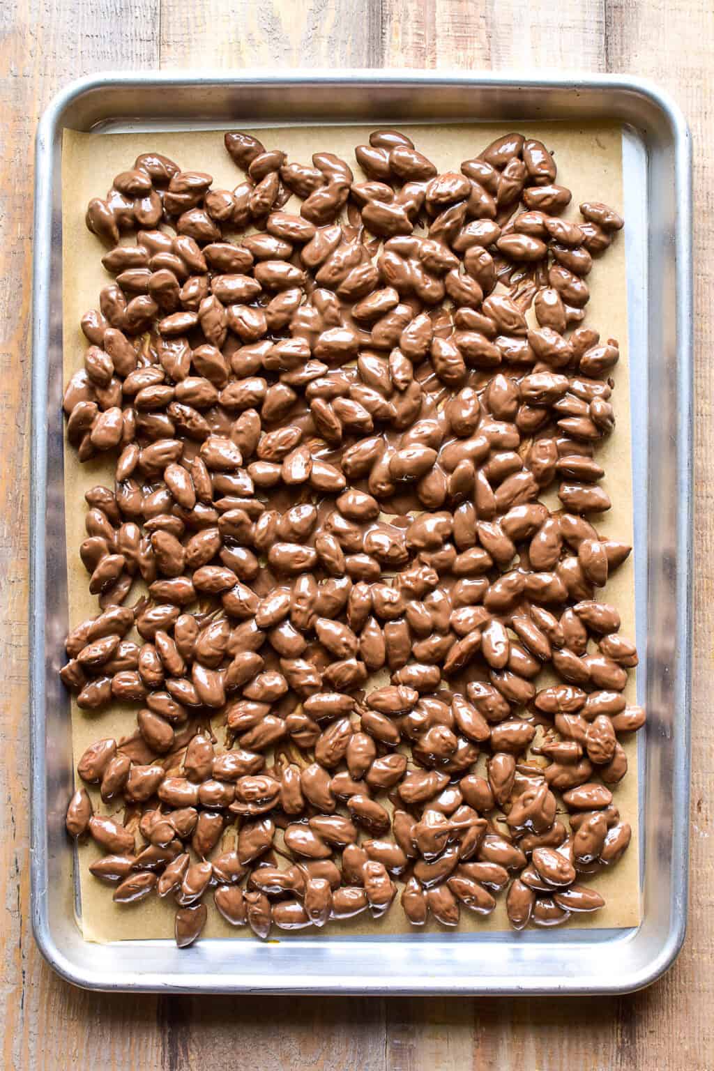 Copycat Skinny Dipped Almonds – Lemon Tree Dwelling