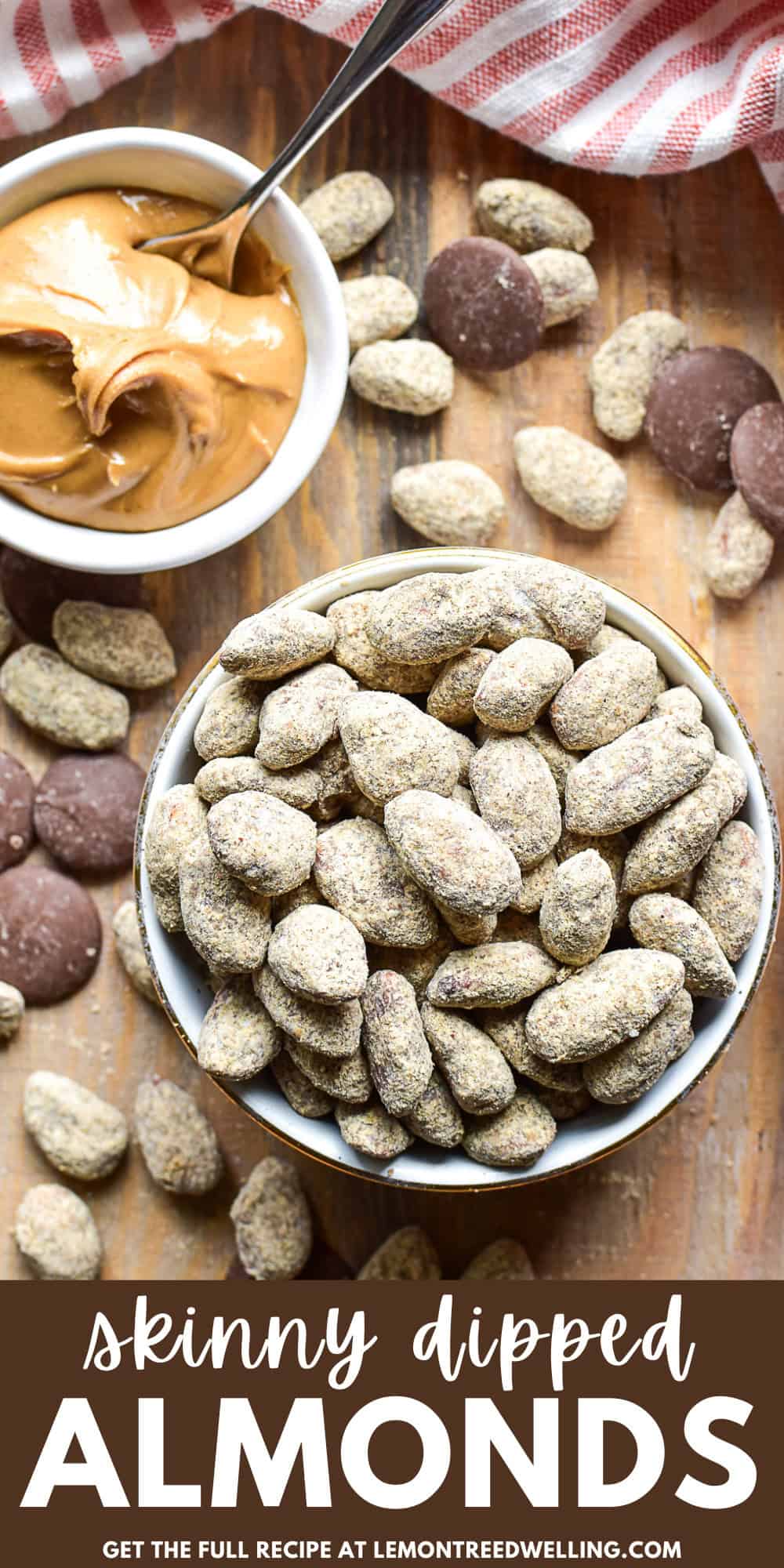 Copycat Skinny Dipped Almonds – Lemon Tree Dwelling